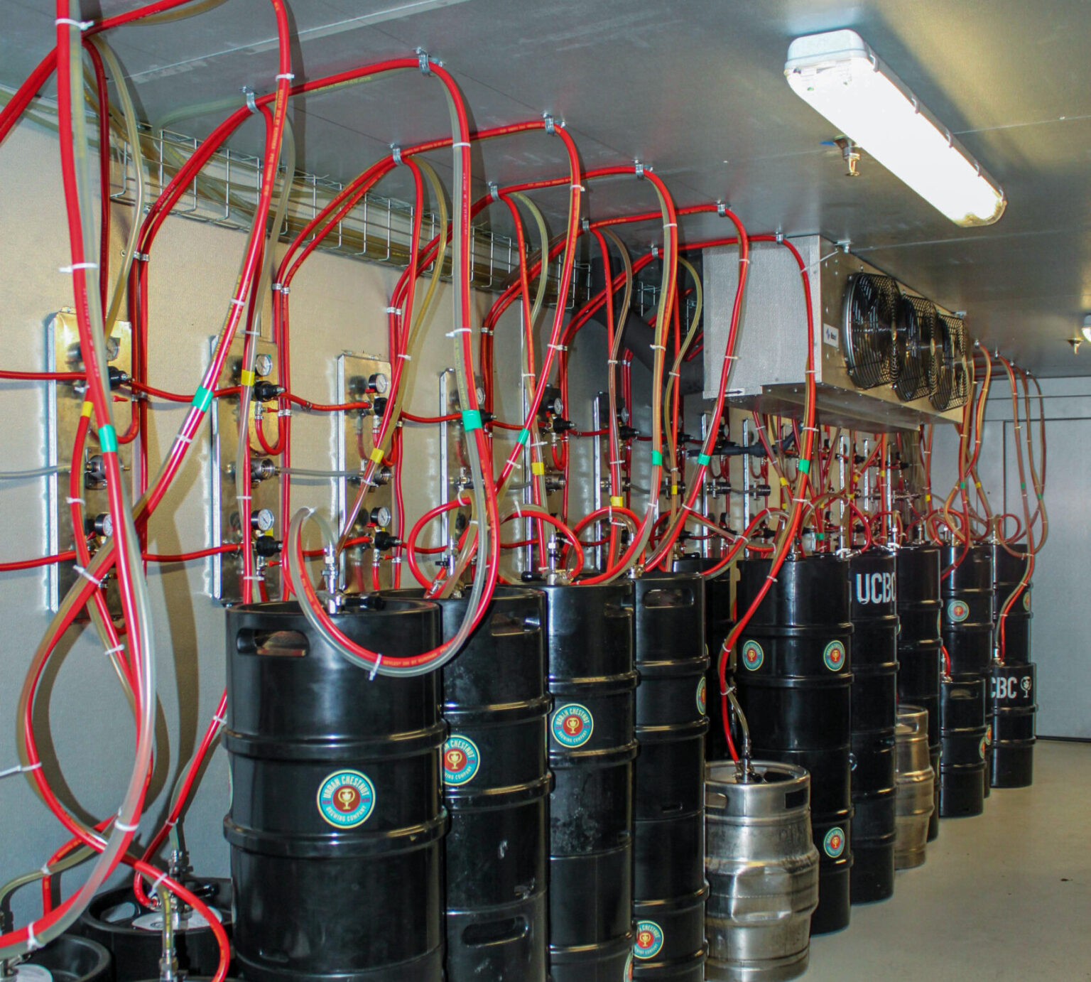 Brew Cave® | U.S. Cooler